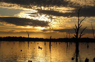 MV PARADISE QUEEN - Australia Wine ToursAustralia Wine Tours